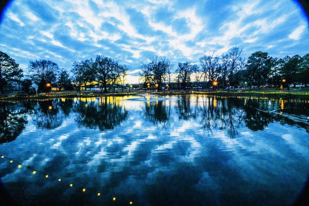 Po Monkeys – Aperture South